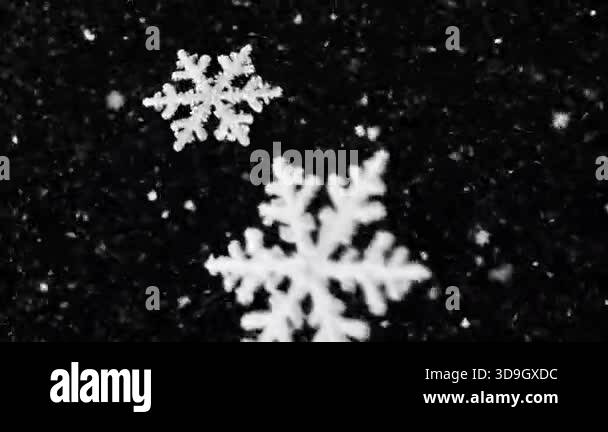 Extreme close-up of slow falling snowflakes in a winter blizzard Stock ...