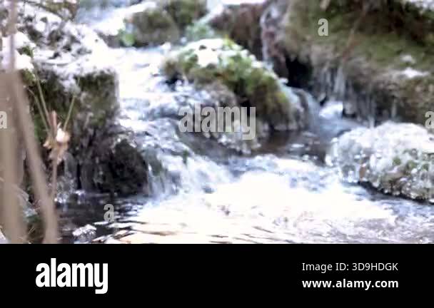 Small winter stream flowing with snow and icicles along the cold ...