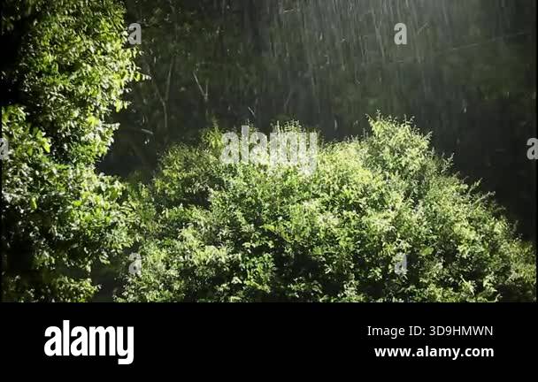 Heavy rain falling at night on green trees illuminated by artificial ...