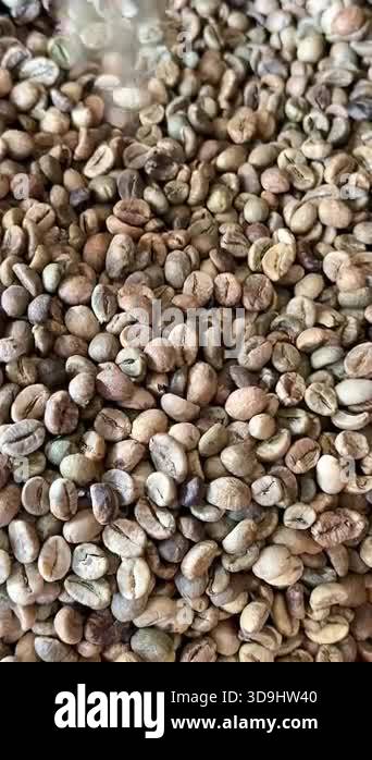 coffee Close-up raw green Arabica coffee beans over a pile of coffee ...