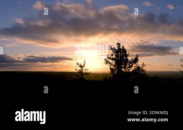 Cinematic sunset over a forest landscape with warm golden light ...