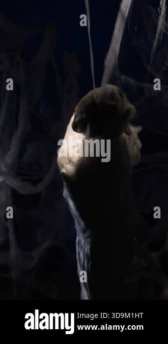 Self-isolation. Scared suffering woman tangled in huge trapped in ...