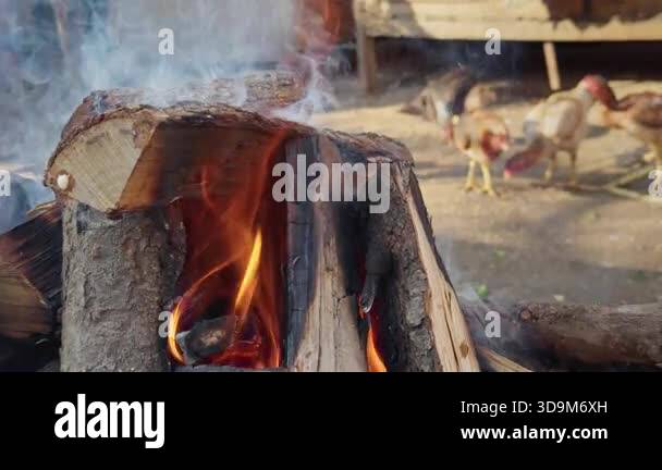 Burning Oak Wood in a Farmhouse Garden Stock Video Footage - Alamy