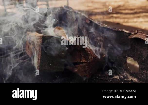 Burning Oak Wood in a Farmhouse Garden Stock Video Footage - Alamy