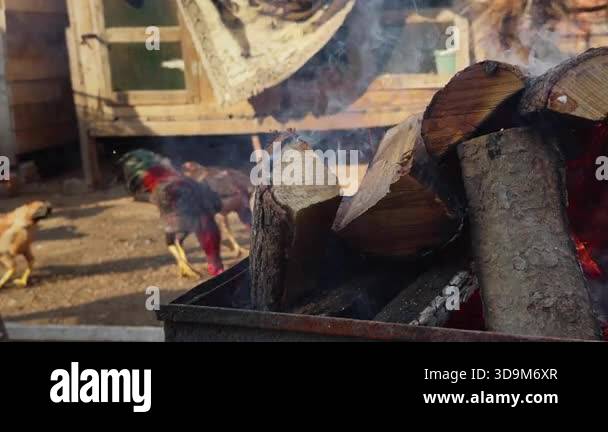 Burning Oak Wood in a Farmhouse Garden Stock Video Footage - Alamy