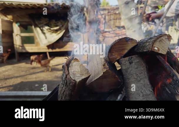 Burning Oak Wood in a Farmhouse Garden Stock Video Footage - Alamy
