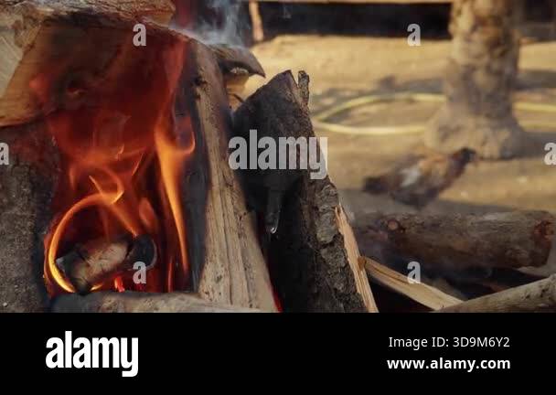 Burning Oak Wood in a Farmhouse Garden Stock Video Footage - Alamy