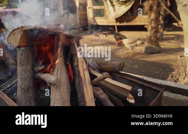 Burning Oak Wood in a Farmhouse Garden Stock Video Footage - Alamy