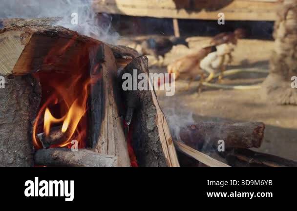 Burning Oak Wood in a Farmhouse Garden Stock Video Footage - Alamy