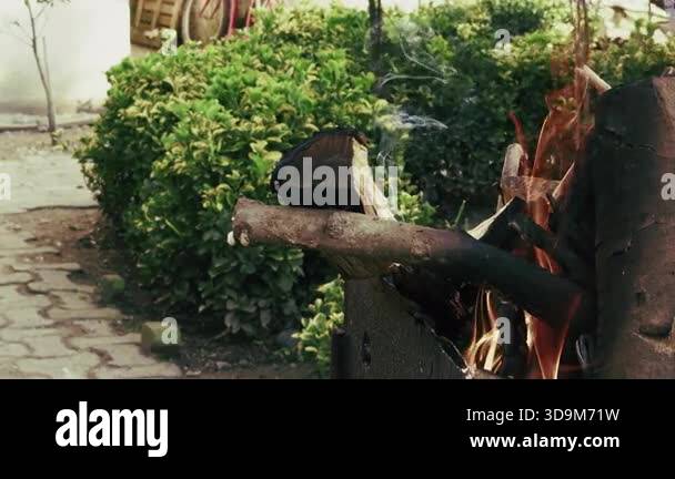 Burning Oak Wood in a Farmhouse Garden Stock Video Footage - Alamy