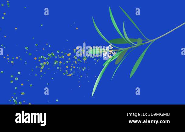 3D animation of an olive tree branch with blossoms, releasing pollen ...