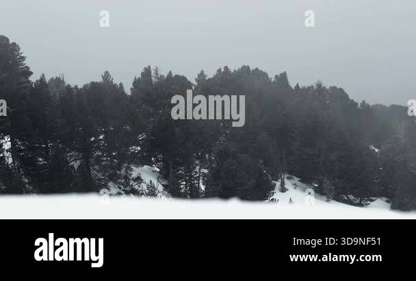 Fog and mist moving in cold wind on a winter mountain forest landscape ...