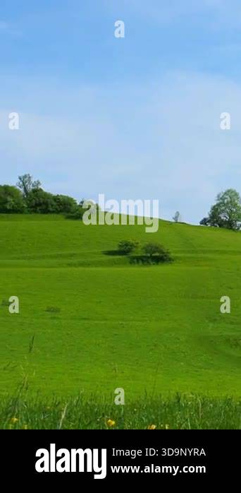 Bright green fields stretch across rolling hills under a deep blue sky ...
