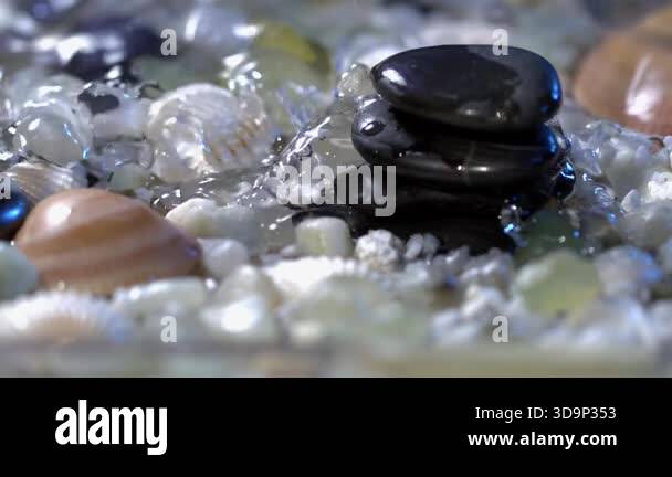 Small stones and shells are arranged together in a clear display. Water ...