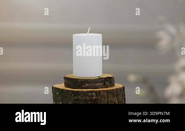 Cylindrical stump Stock Videos & Footage - HD and 4K Video Clips - Alamy