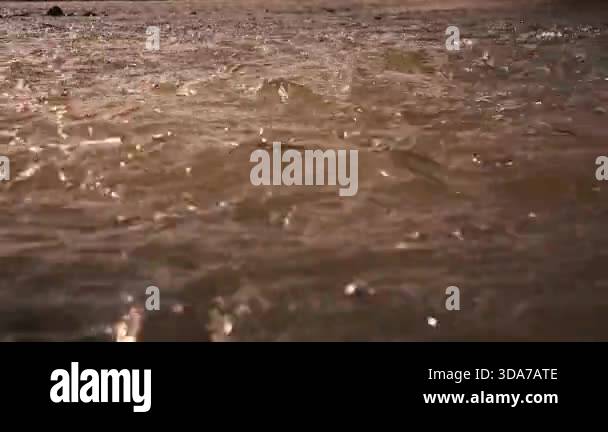 River of mud Stock Videos & Footage - HD and 4K Video Clips - Alamy