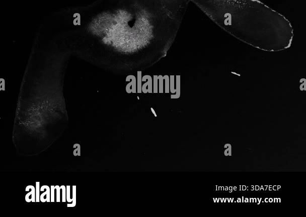 Distressed texture animation for overlays. High quality 4k footage ...