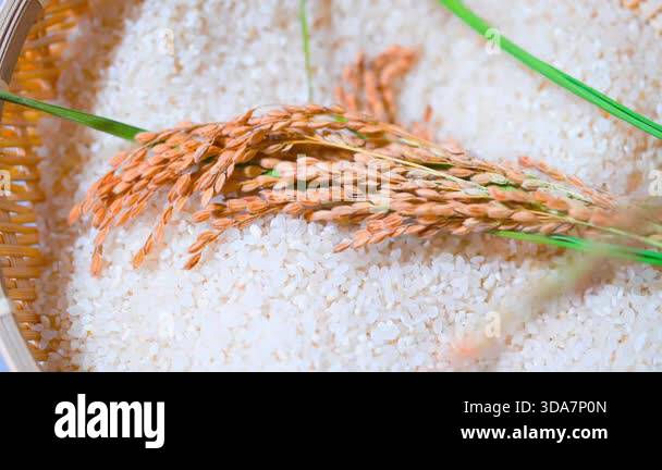 Korea dinner rice Stock Videos & Footage - HD and 4K Video Clips - Alamy