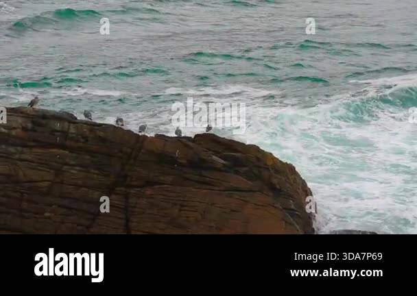 Waves of the East Sea crash against the breakwater and rocky shore ...