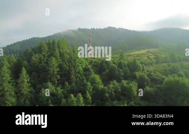 Telecommunication pylon on hill with green trees Stock Video Footage ...