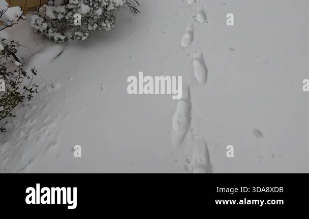 walking up driveway after the snow storm in January Stock Video Footage ...