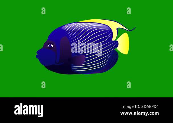 Blue fish on green background Stock Videos & Footage - HD and 4K Video ...
