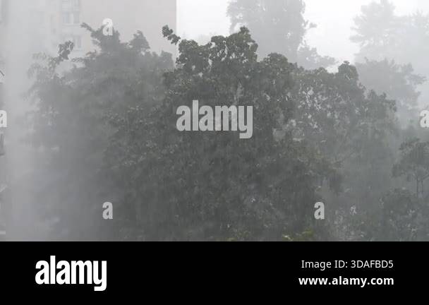 Slow Motion. Bad weather, storm. Heavy rain and wind in city. Wind ...