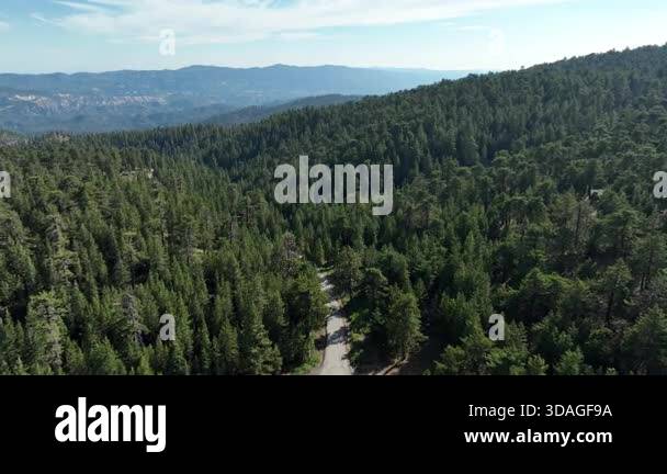 Mt Pinos in Los Padres Forest Aerial Shot Forward Descend California ...