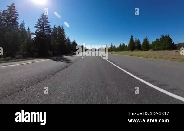 Weed california shasta Stock Videos & Footage - HD and 4K Video Clips ...