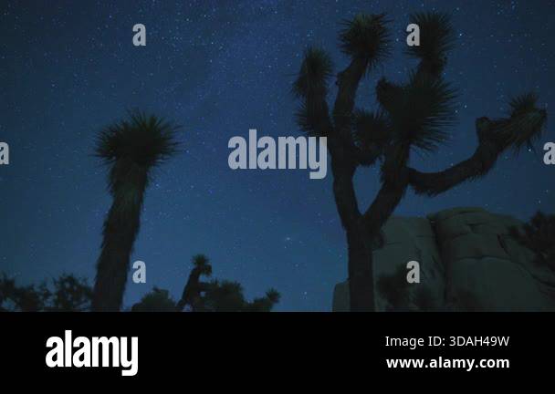 Joshua Tree National Park Aurora Airglow Milky Way Galaxy Over Rock ...