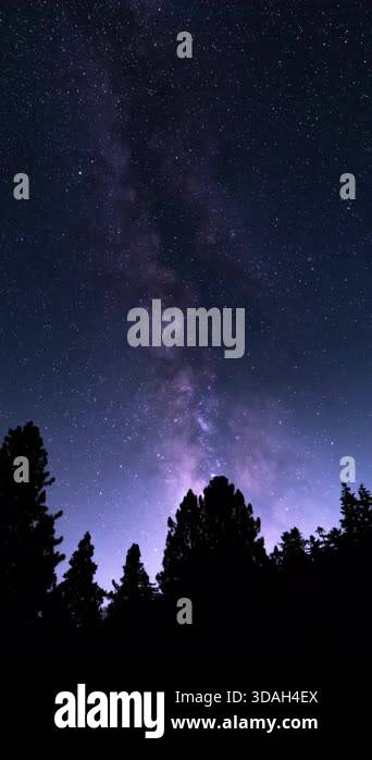 Vertical August Night Sky Milky Way Galaxy Above Oak Trees South Time ...