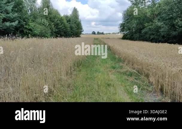 Path running through farm Stock Videos & Footage - HD and 4K Video ...