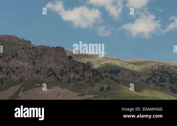 Drone flying over woods with mountains in background, Pyrenees in ...