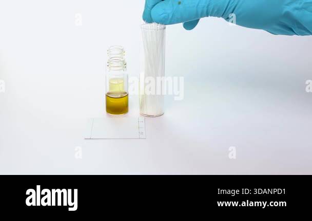 A scientist holds a capillary tube used for spotting chemical sample ...