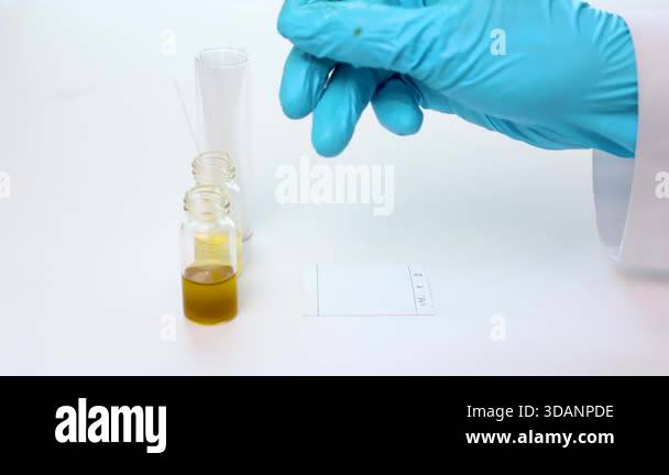 A scientist dips a capillary tube into a sample vial and spots it onto ...