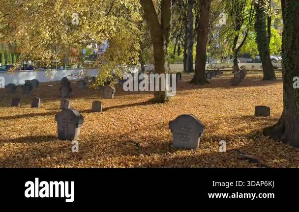 Brasov, Transylvania, Romania - October 23, 2025: Autumn scenery at ...