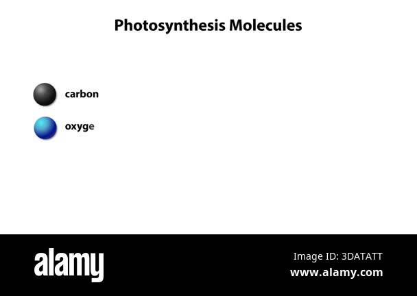 Photosynthesis visualization Stock Videos & Footage - HD and 4K Video ...