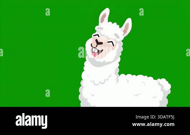 Looping animated white llama showing playful smiling expressions on ...