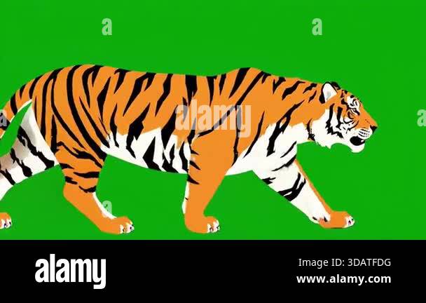 Animated tiger walking across a green screen background for compositing ...