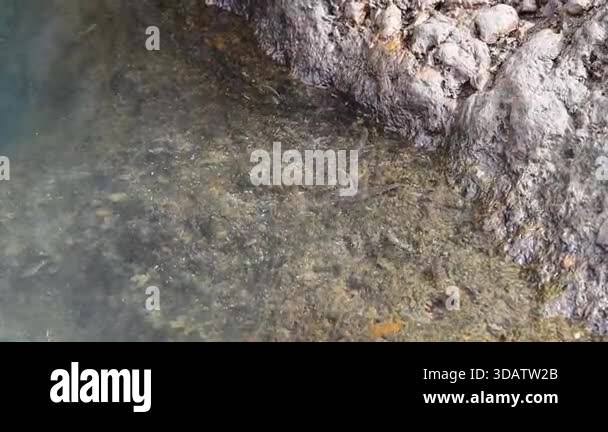 A small, shallow volcanic natural crevice in a rock with clear Atlantic ...