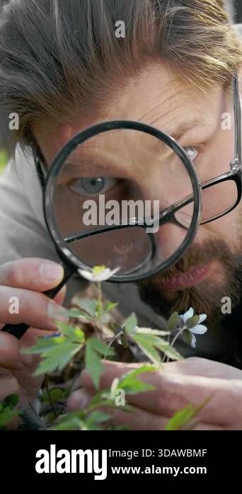 Person using magnifying glass Stock Videos & Footage - HD and 4K Video ...
