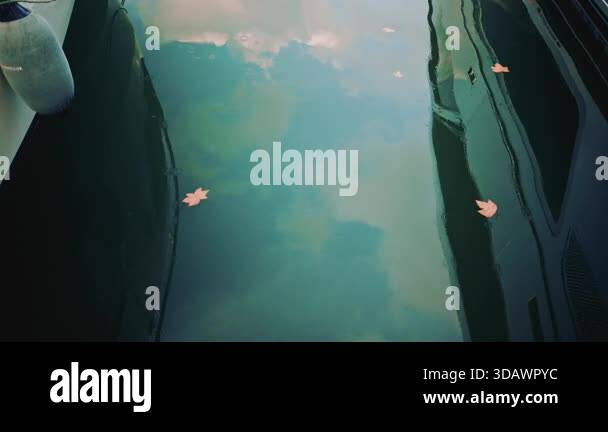 Water surface with floating autumn leaves, reflecting the sky and boat ...