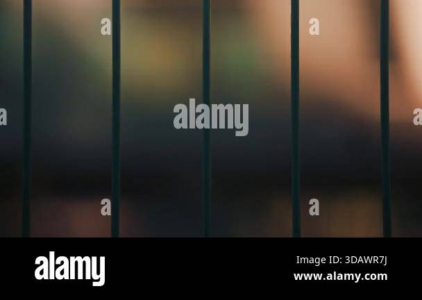 Alignment bars Stock Videos & Footage - HD and 4K Video Clips - Alamy