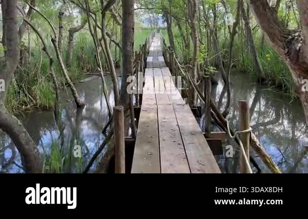 Video of a long, narrow wooden walkway over water, leading into a ...