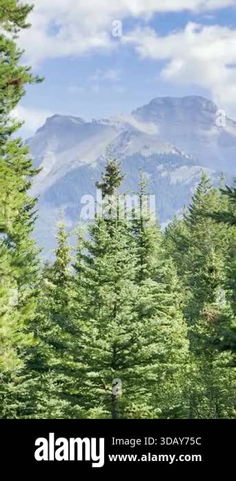 Evergreen trees create natural frame Stock Videos & Footage - HD and 4K ...