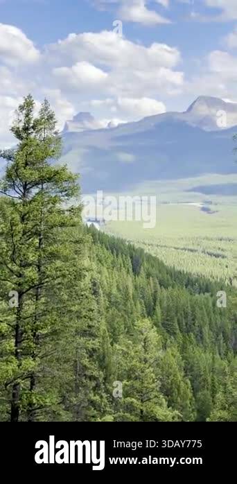 Expansive forest landscape with majestic mountains in the background ...