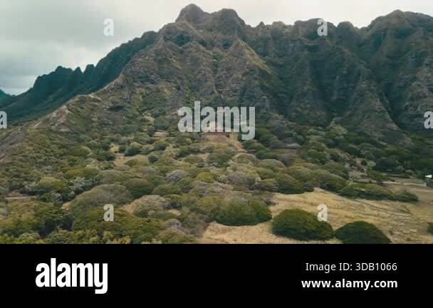 Lush Volcanic Foothills Scenery, Coastal Eucalyptus And Volcanic ...