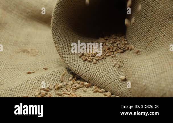 Agro fiber Stock Videos & Footage - HD and 4K Video Clips - Alamy