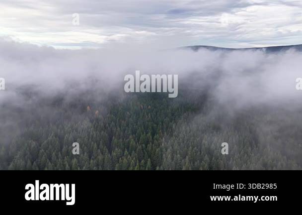 Sunlight breaks through mist Stock Videos & Footage - HD and 4K Video ...