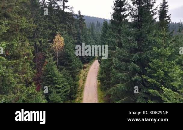 Narrow single track lane Stock Videos & Footage - HD and 4K Video Clips ...